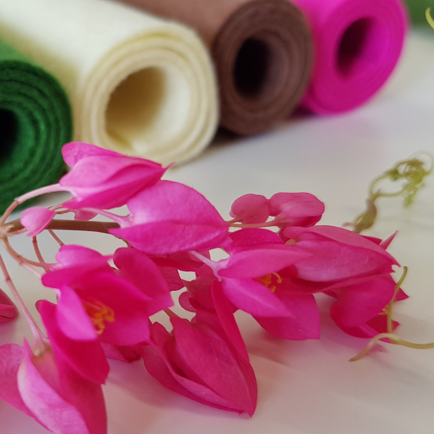 My Felt Lady - Premium Wool Felt Craft Supplies & Creative Inspiration